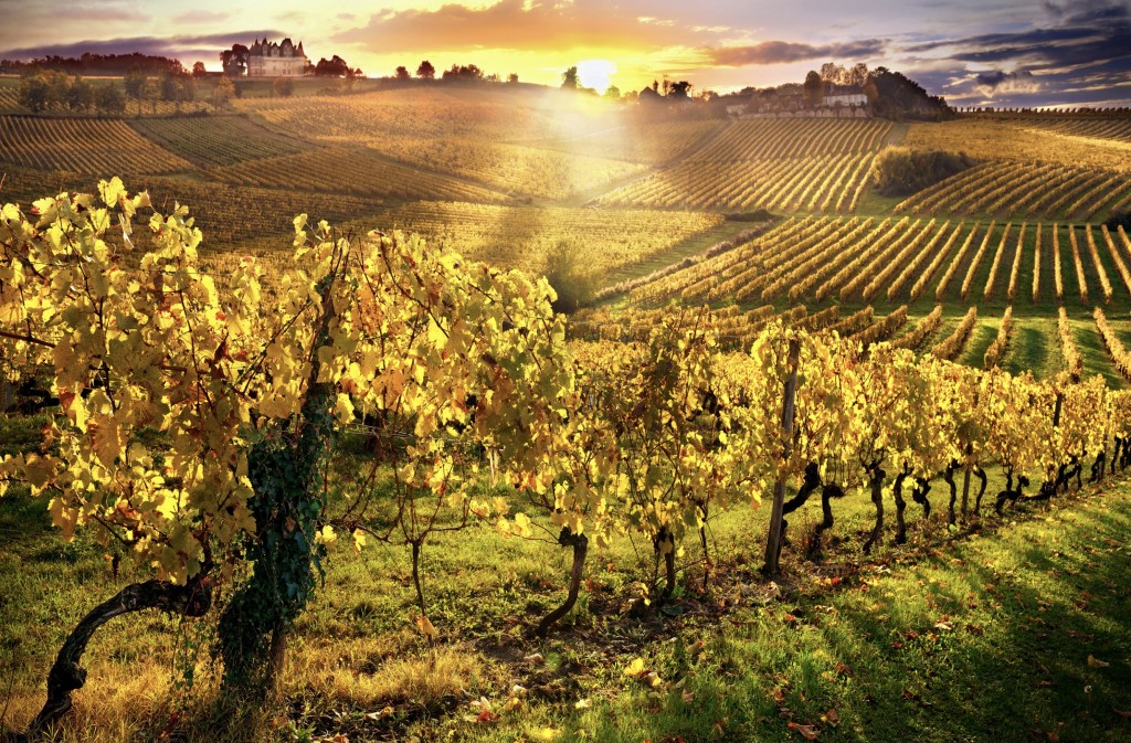 Domaine la Prut – descoperă istoria cu rădăcini austriece